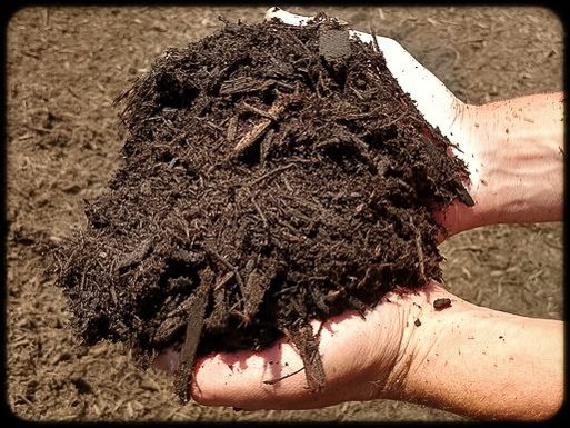 Mulch | Soil Toppers