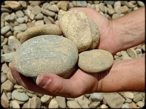 Stone | Soil Toppers